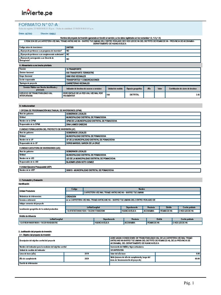Formato 7a Viable | PDF | Infraestructura | Tasa interna de retorno