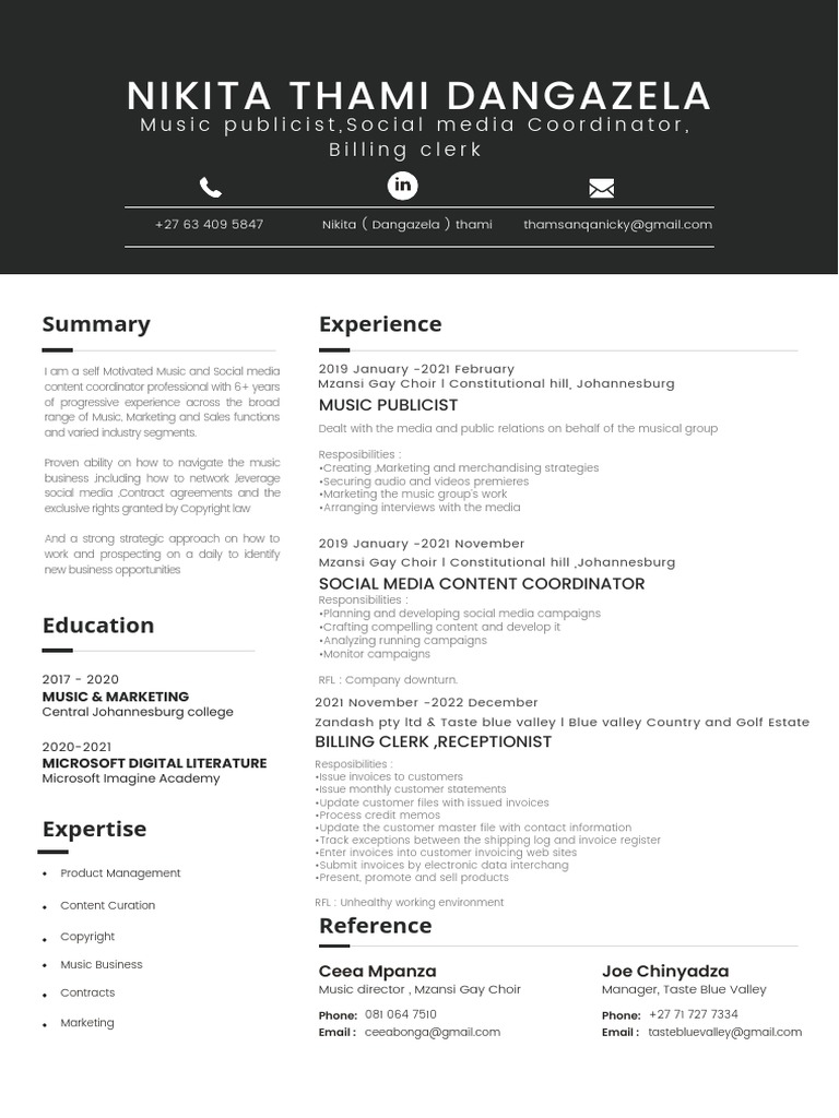 CVs PDF | PDF | Social Media | Popular Culture & Media Studies