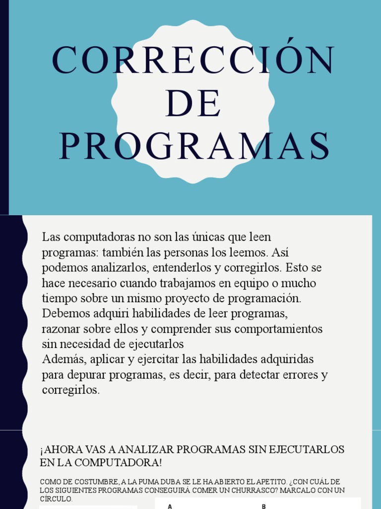 Corrección De Programas Pdf