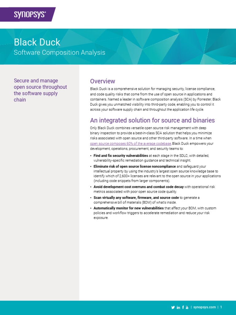 Black Duck Datasheet | PDF | Vulnerability (Computing) | Computer Security