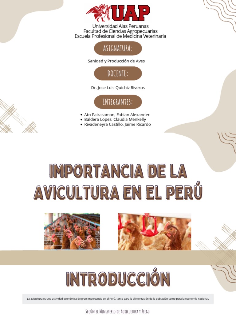 Importancia de la Avicultura en Perú | PDF | Perú | Sustentabilidad
