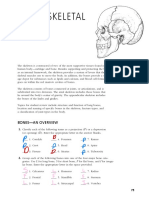 Porcine Carcass and Cut Descriptions | PDF | Vertebra | Shoulder