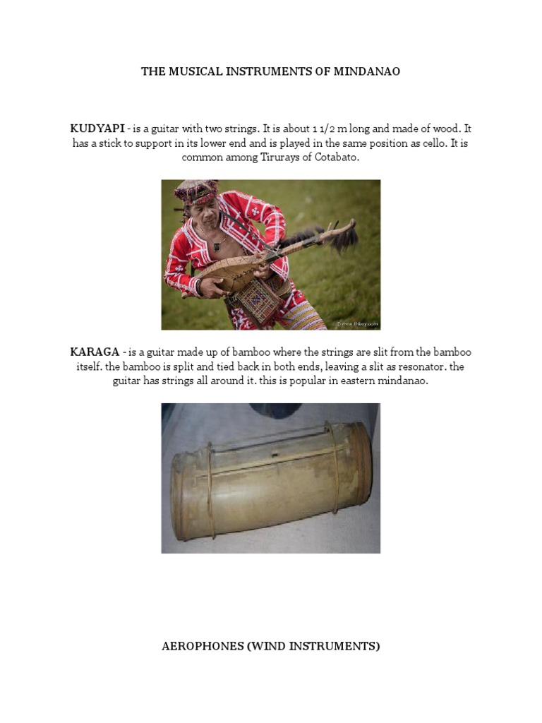The Musical Instruments of Mindanao | PDF | Musical Instruments | Music ...