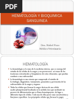 Limbo | PDF | Hoja | Botánica