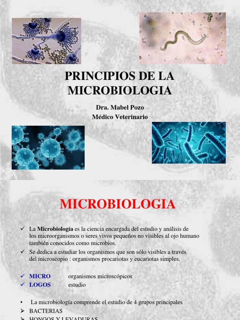 5-Principios de La Microbiologia y BacteriologÃ - A PDF | PDF | Las bacterias | Microbiología
