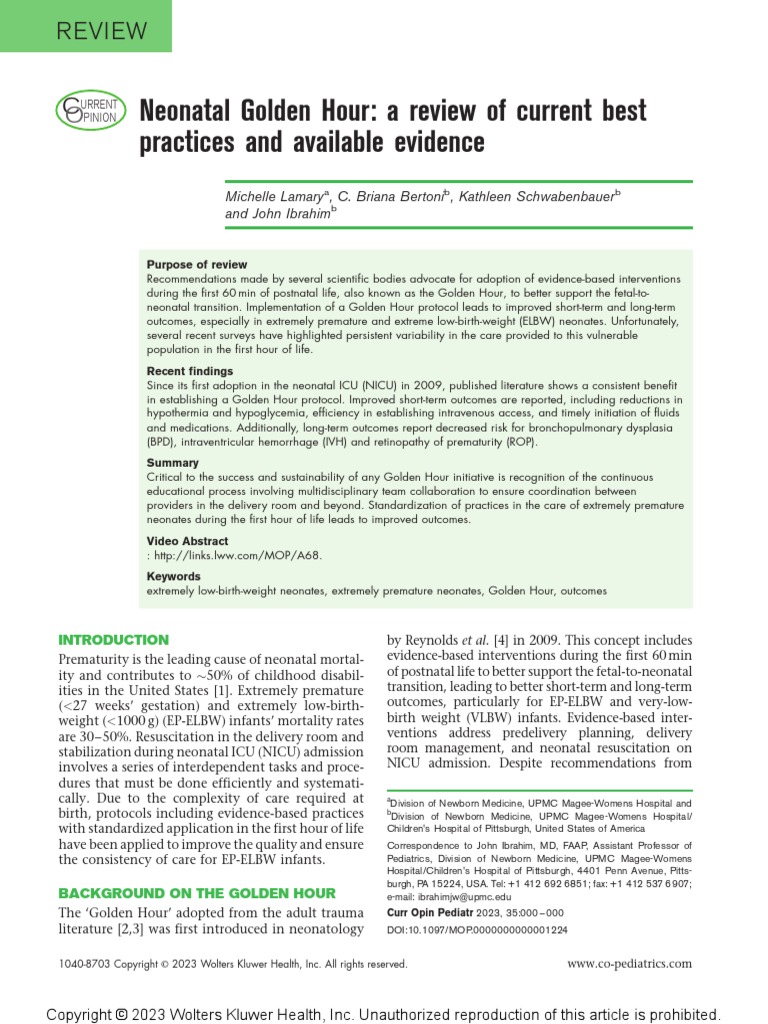 Neonatal Golden Hour A Review of Current Best Practices and Available ...