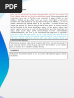 Modelo de Informe de Evaluaciones de Subsanacion | PDF