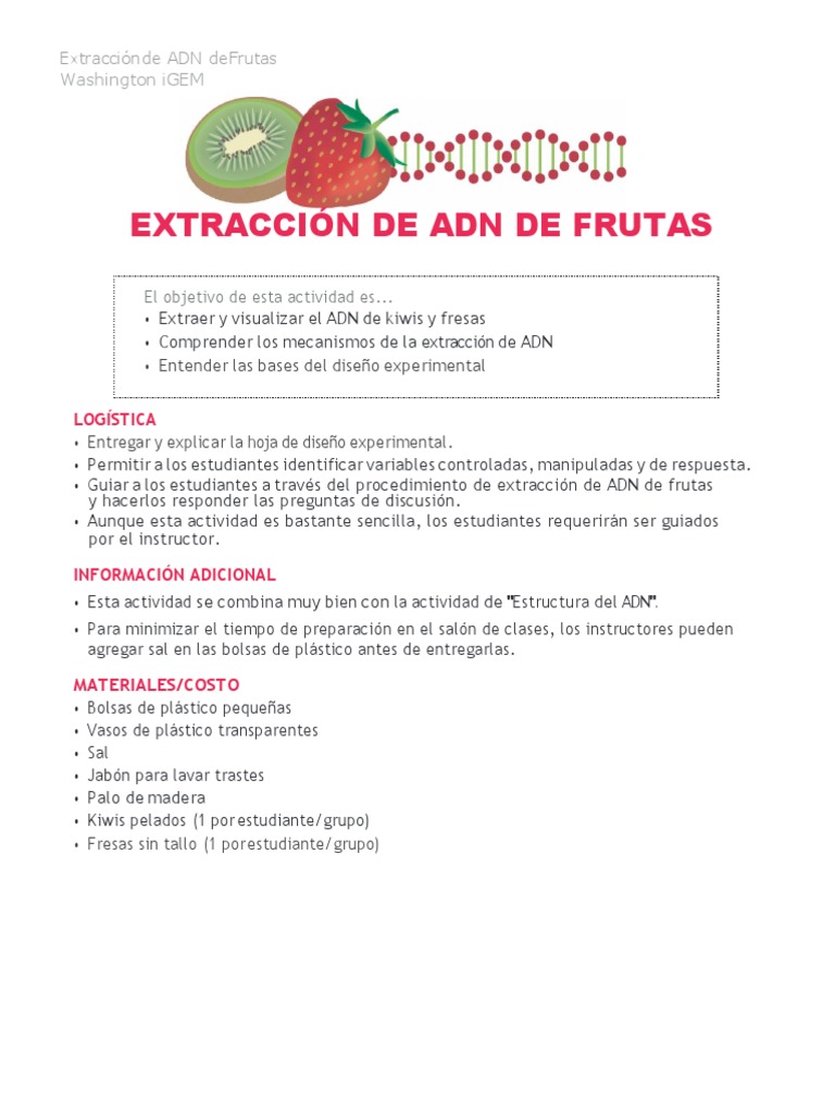 Extracción de ADN en Kiwis y Fresas | PDF | Adn