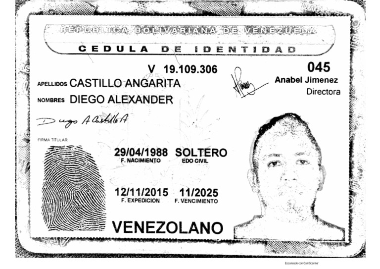 Cedula Diego Castillo | PDF