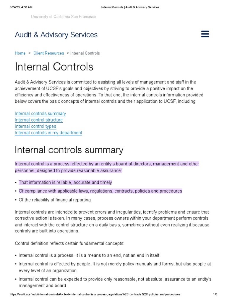 Internal Controls - Audit & Advisory Services | PDF | Internal Control ...