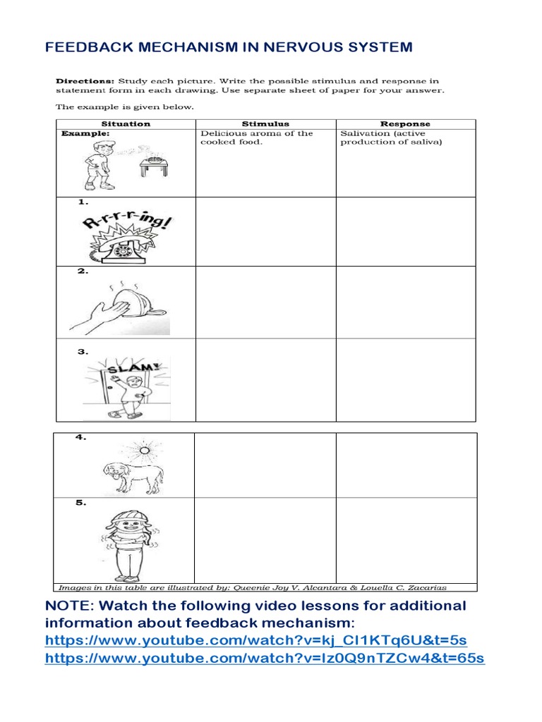 Understanding Homeostasis Through the Feedback Mechanism in the Nervous ...