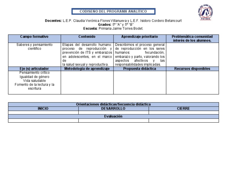 Codiseño Del Programa Analítico Pdf