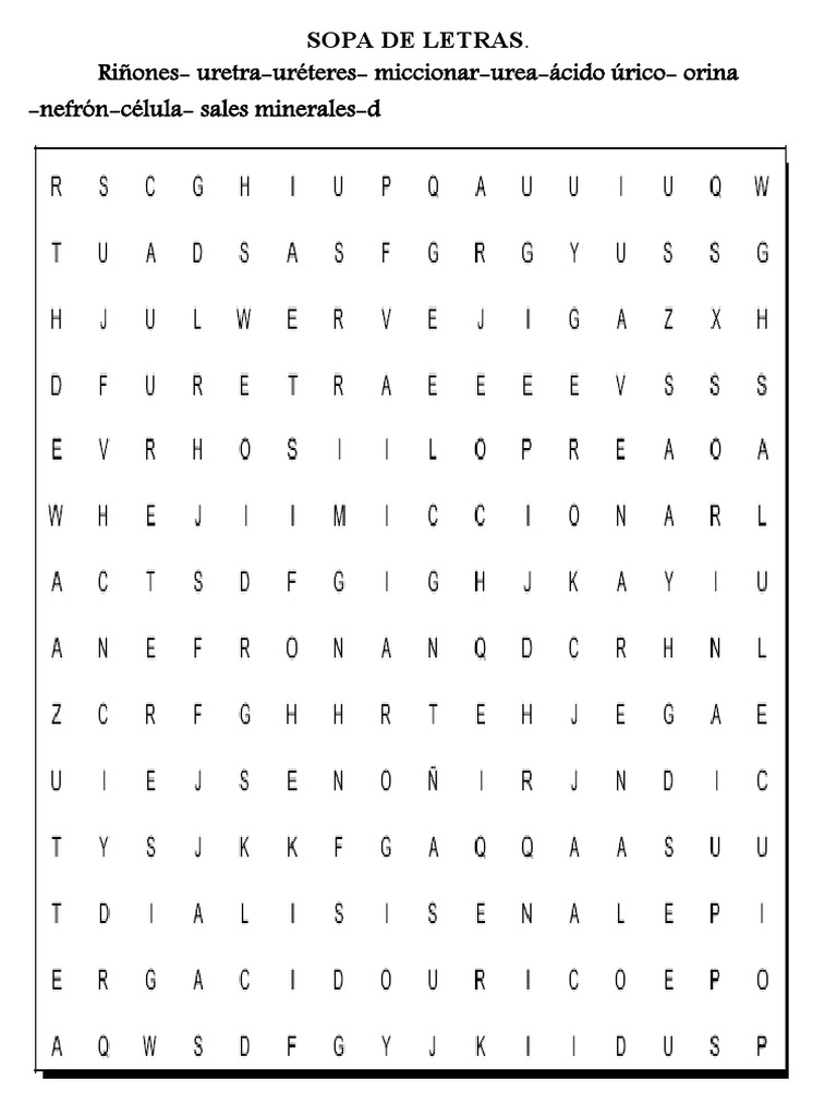 Sistema Urinario Sopa D Letras | PDF