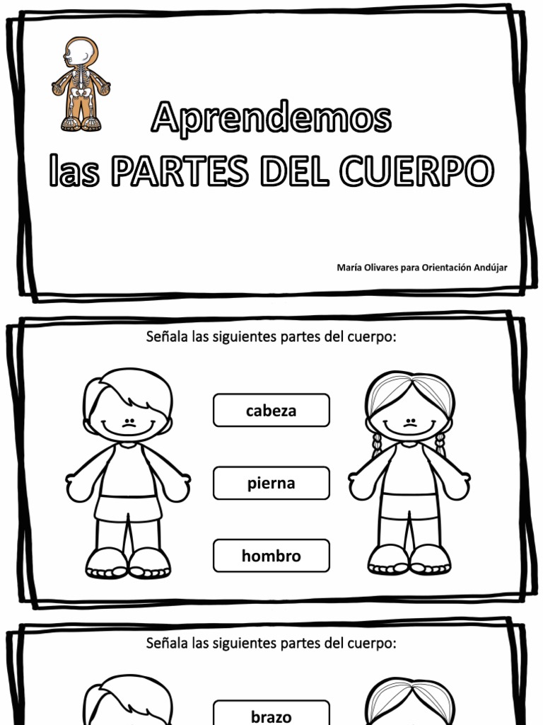 Partes Del Cuerpo | PDF