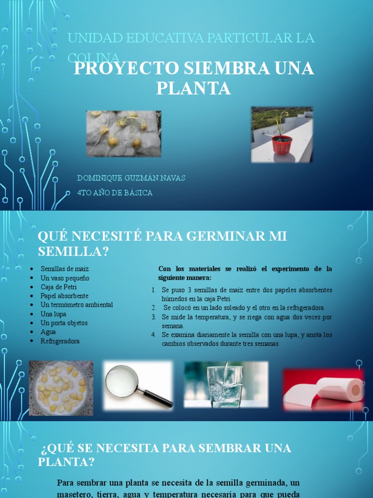 Proyecto Germinación de Semilla | PDF