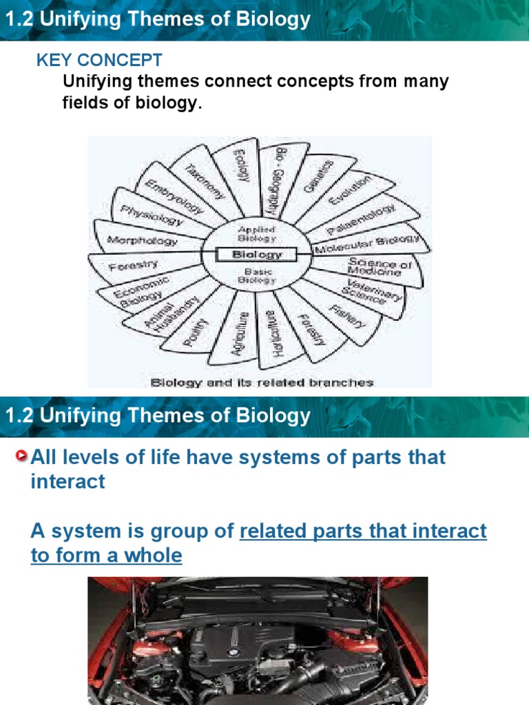 1.2 Unifying Themes of Biology | PDF | Dna | Biology