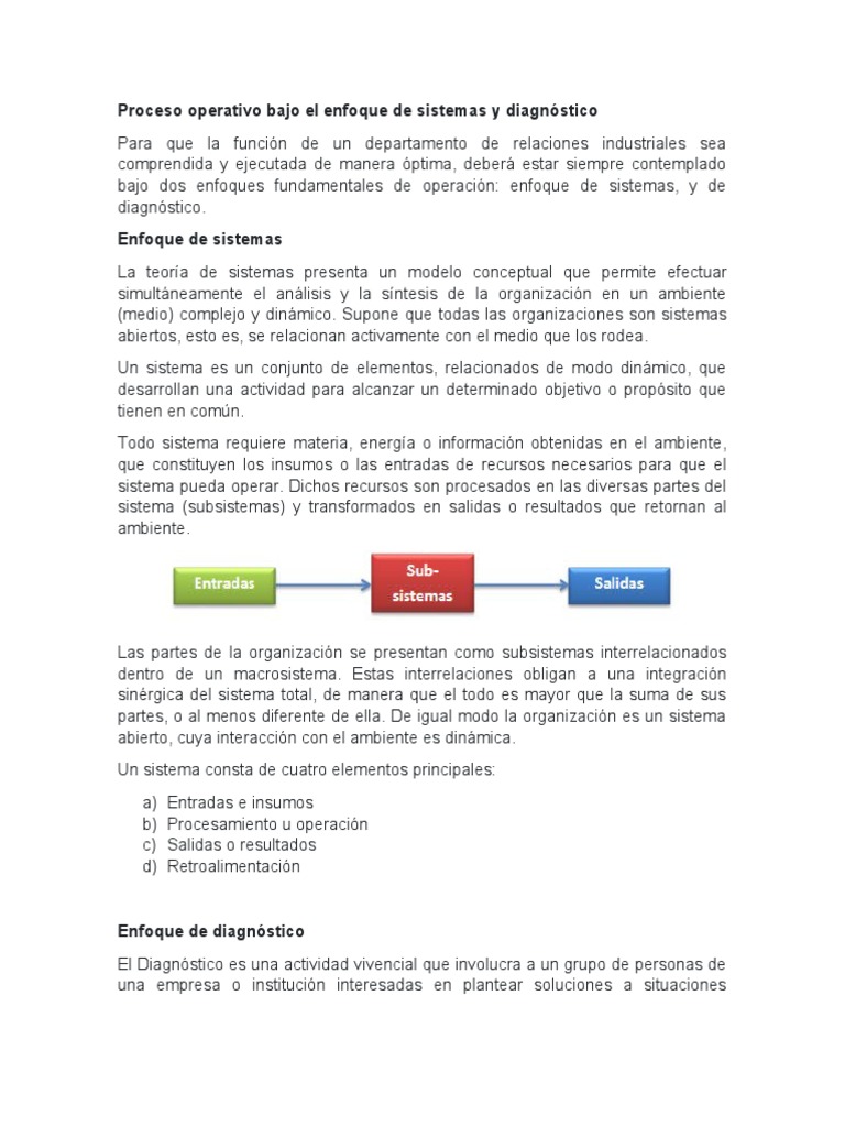 Proceso Operativo Bajo El Enfoque de Sistemas y Diagnóstico | PDF ...