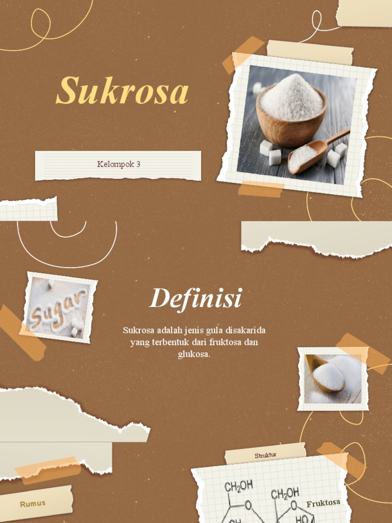 Sukrosa Tugas 1 Biokimia | PDF