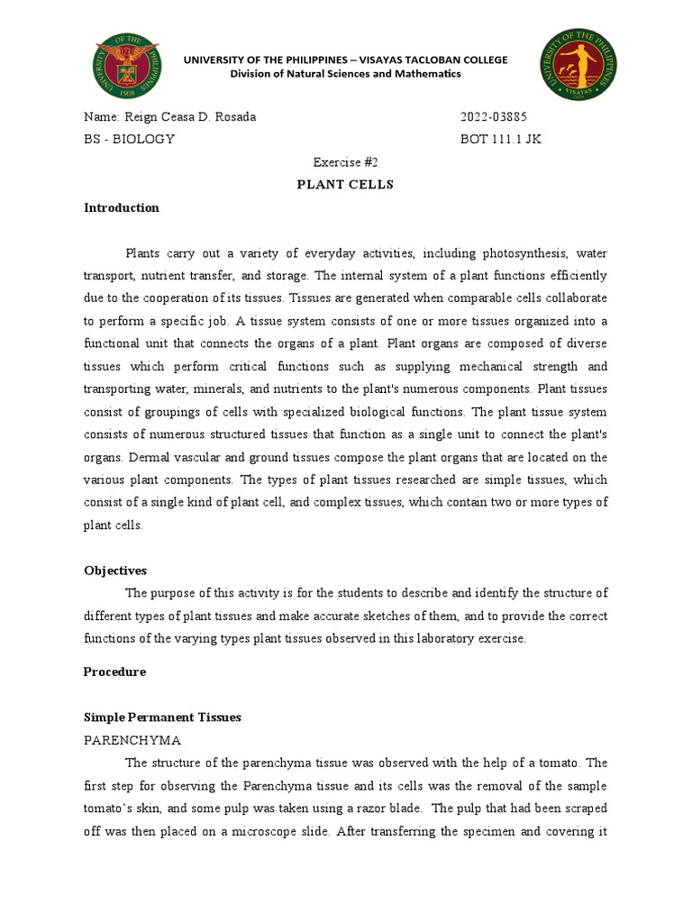 Lab Rep 2 | PDF | Tissue (Biology) | Leaf