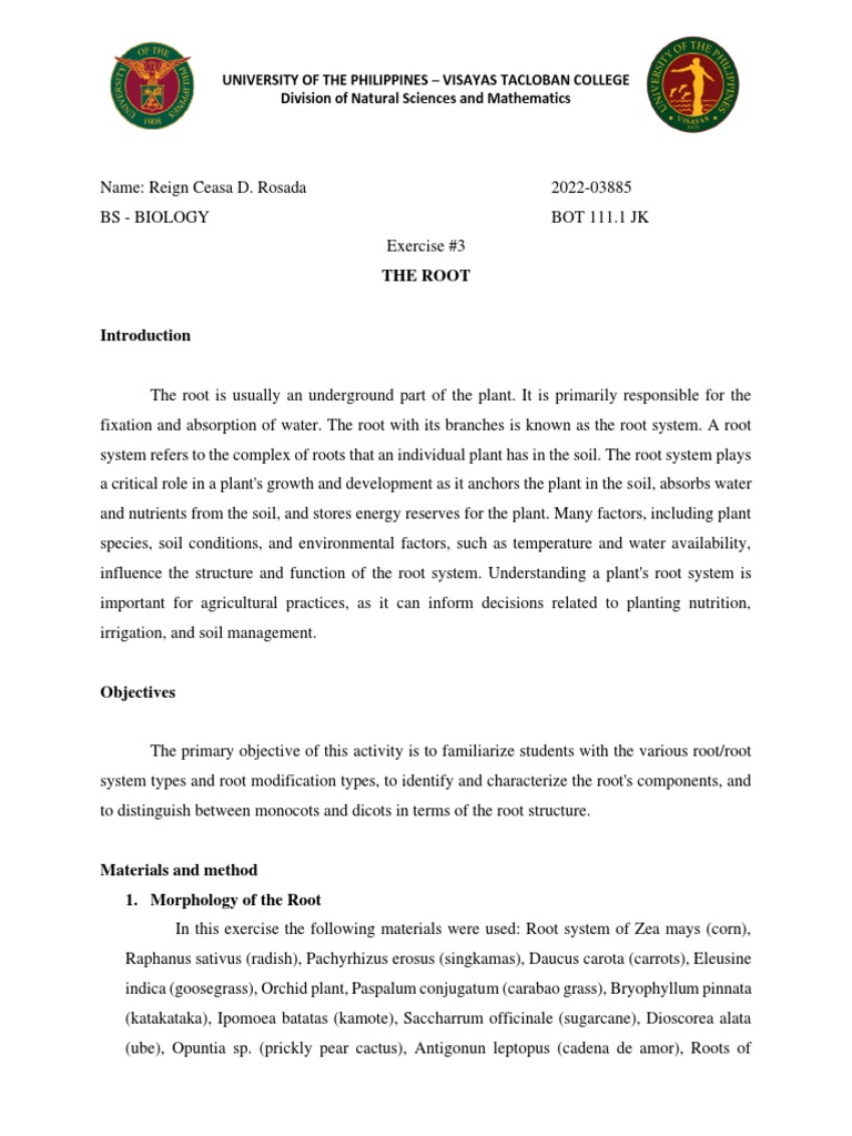 Lab Rep 3 | PDF | Root | Plants