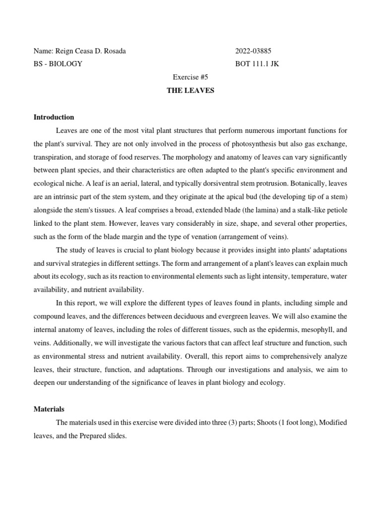 Lab Rep 5 | PDF | Leaf | Photosynthesis