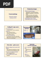 Autopsy of A Dill Pickle Person Lab | PDF | Abdomen | Anatomical Terms ...