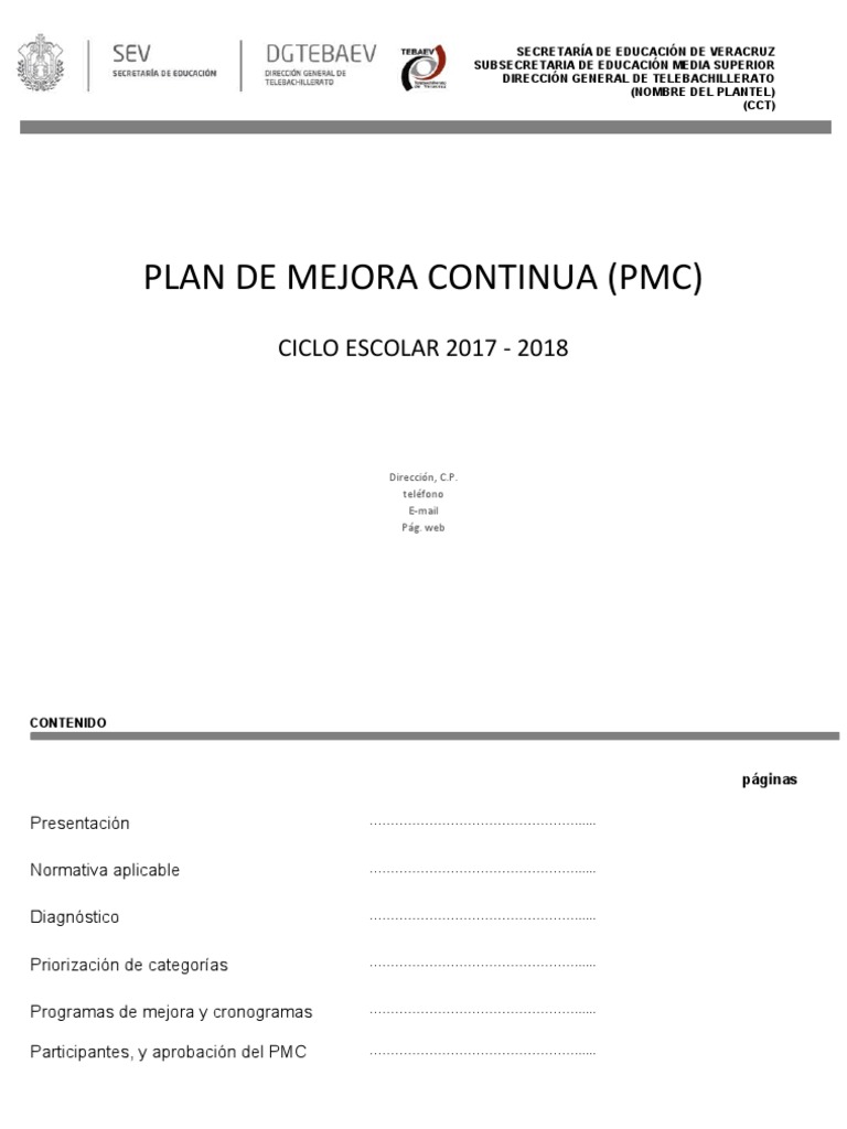 Formato para Elaborar PMC | PDF