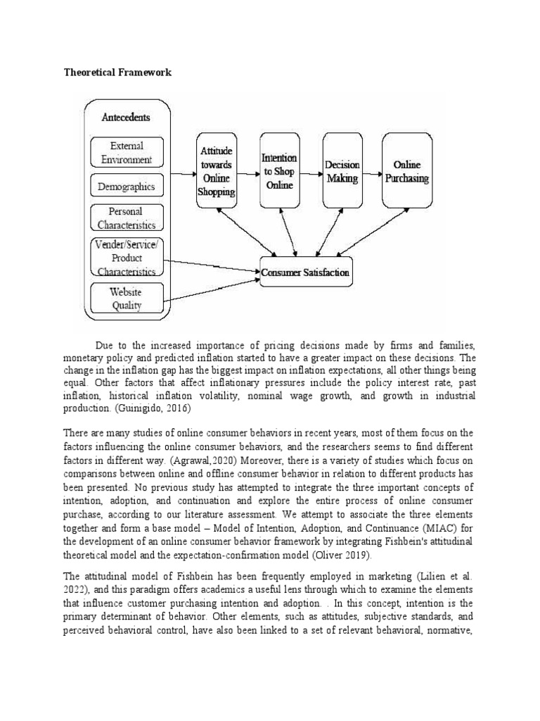 Theoretical Framework - Anne | PDF | Consumer Behaviour | Inflation
