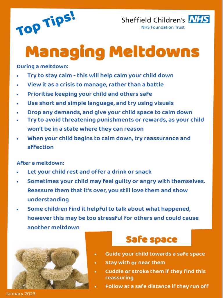 Managing Meltdowns Top Tips | PDF