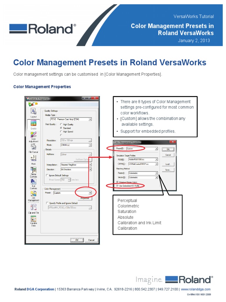 VersaWorks Color Management Guide | PDF | Artistic Techniques | Color