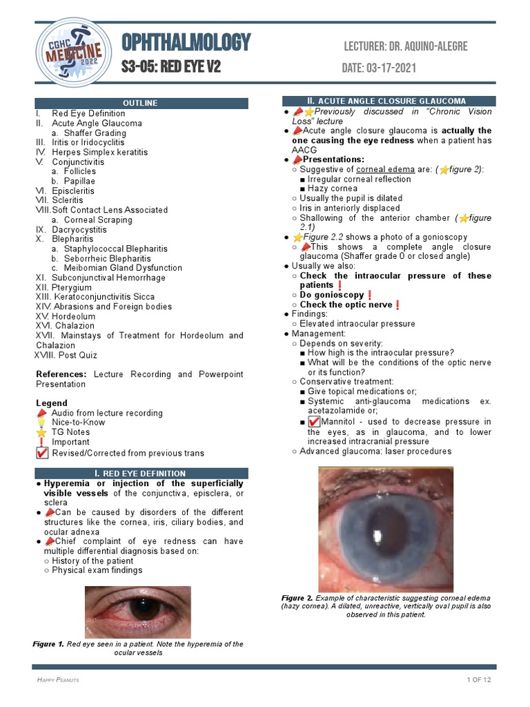 S3-05 Ophthalmology Red Eye (v2) PDF | PDF | Glaucoma | Human Eye