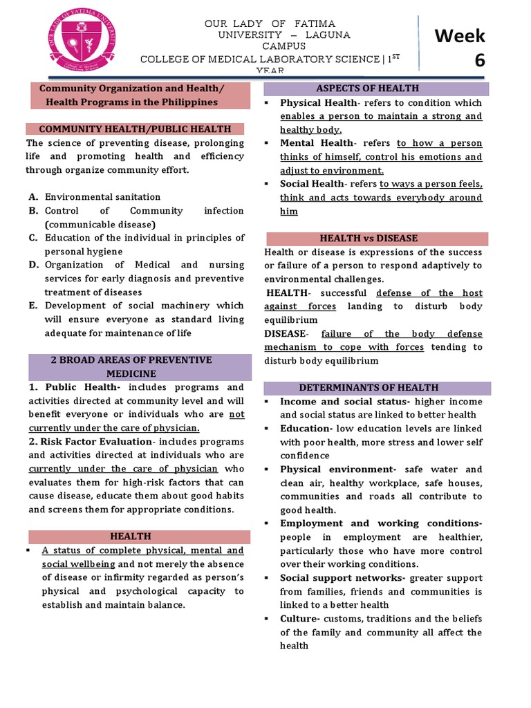 Community Health Programs Overview | PDF | Health Care | Health Sciences