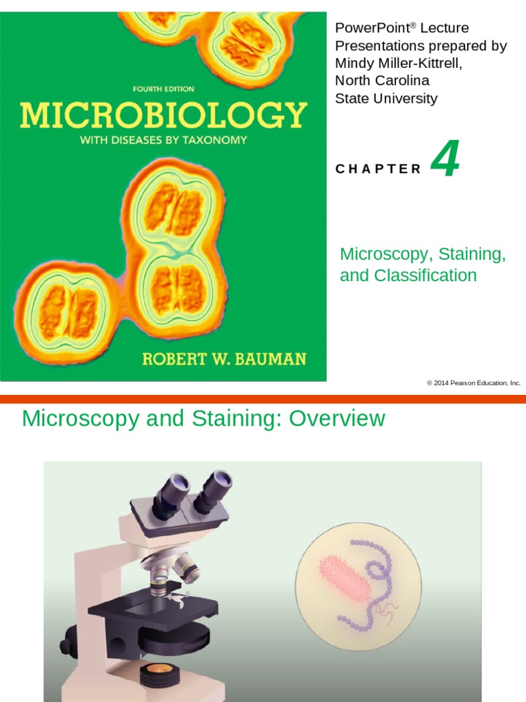 CH 04 Lecture Presentation | PDF | Microscopy | Microscope