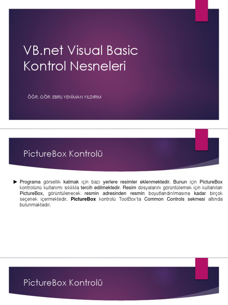 Visual Basic - Kontrol Nesneleri | PDF