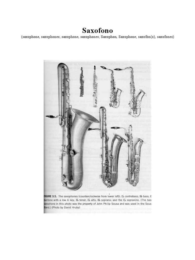 Saxofono: (Saxophone, Saxophones Saxophone, Saxophones Saxophon ...