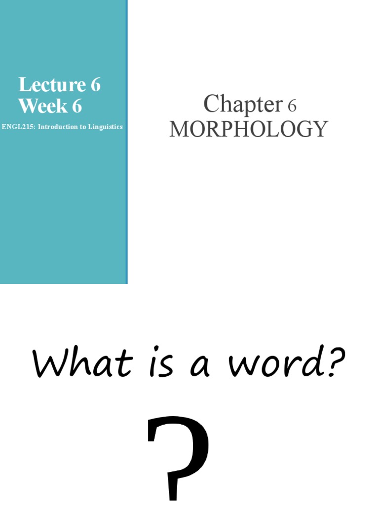 Week 6 Morphology | PDF