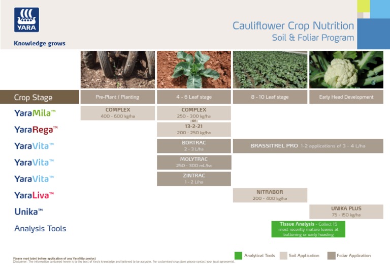 Cauliflower Crop Program PDF | Download Free PDF | Horticulture | Organisms
