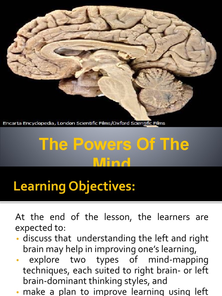 6.the Powers of The Mind | PDF | Brainstem | Brain
