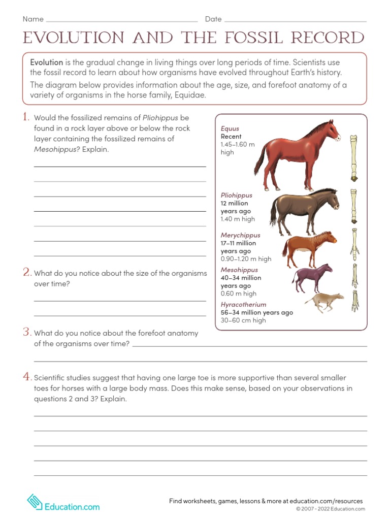 Evolution and The Fossil Record | PDF