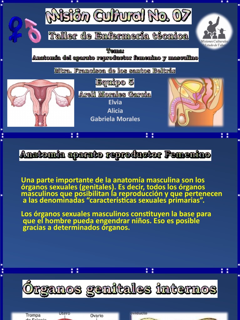 Anatomia Aparato Reproductor Femenino y Masculino | PDF