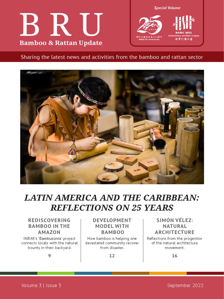 Bru 3 3 - en PDF | PDF | Sustainability | Latin America