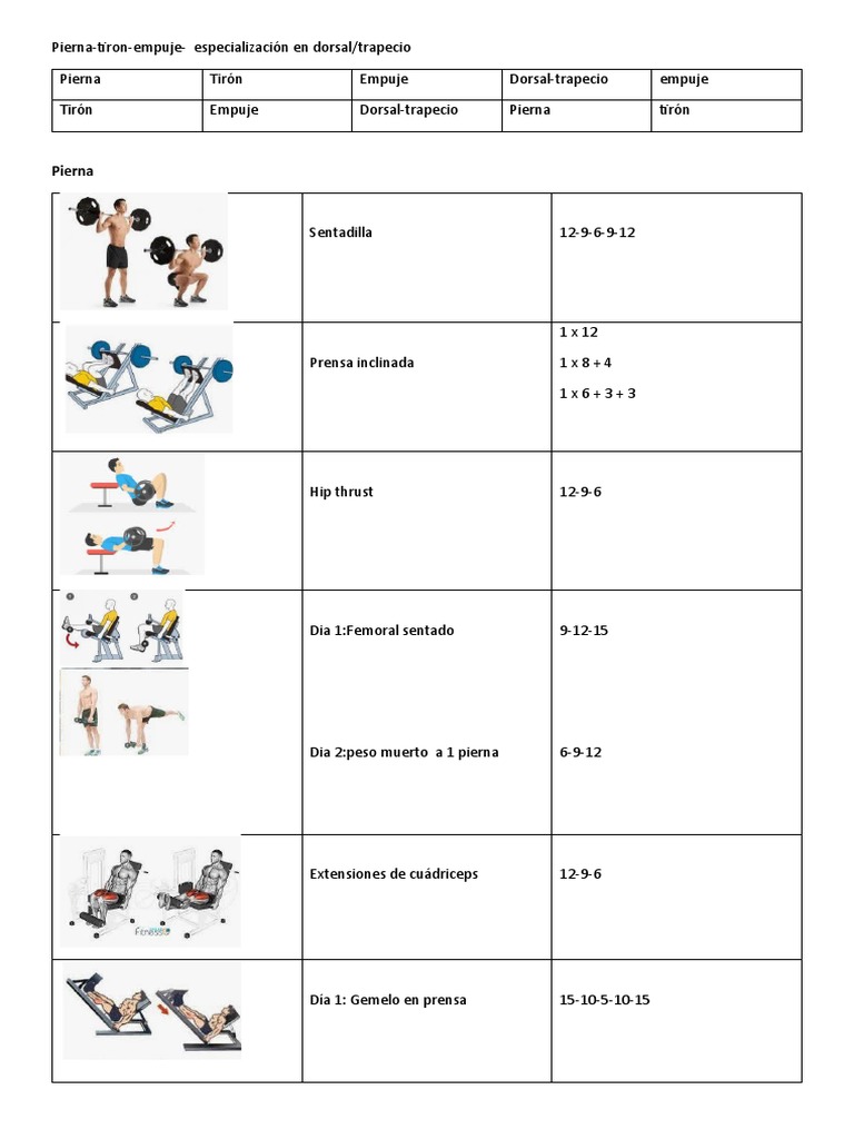 Tiron Empujon Pierna | PDF | Extremidades (anatomía) | Sistema ...