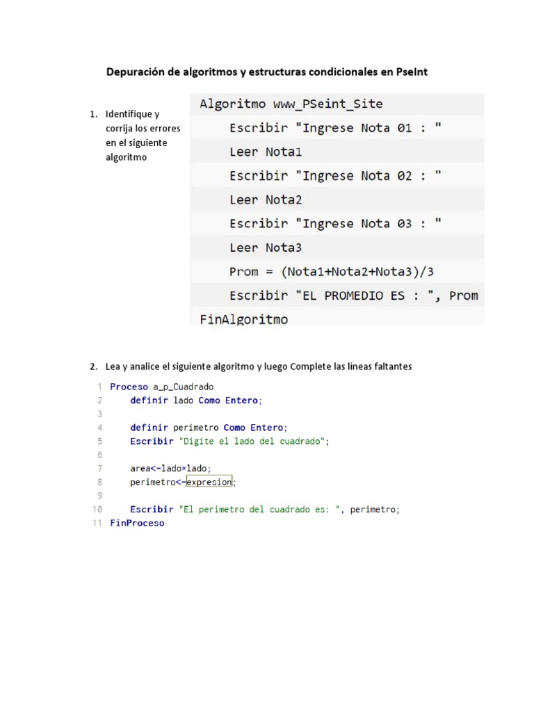 Depuración y Análisis de Algoritmos PseInt | PDF | Informática