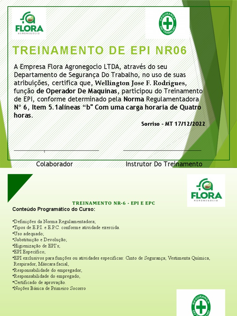 Treinamento EPI NR06 | PDF