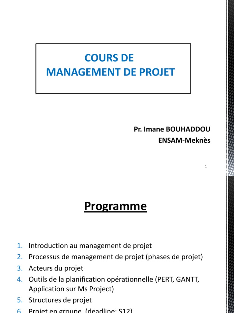 Cours de Management de Projet | PDF