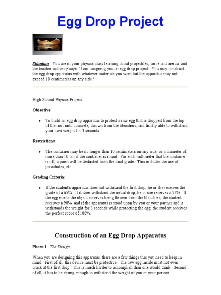Protecting an Egg: The Egg Drop Project | PDF
