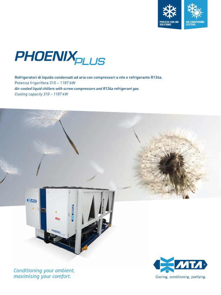 3.1 .MTA - Phoenix Plus | PDF