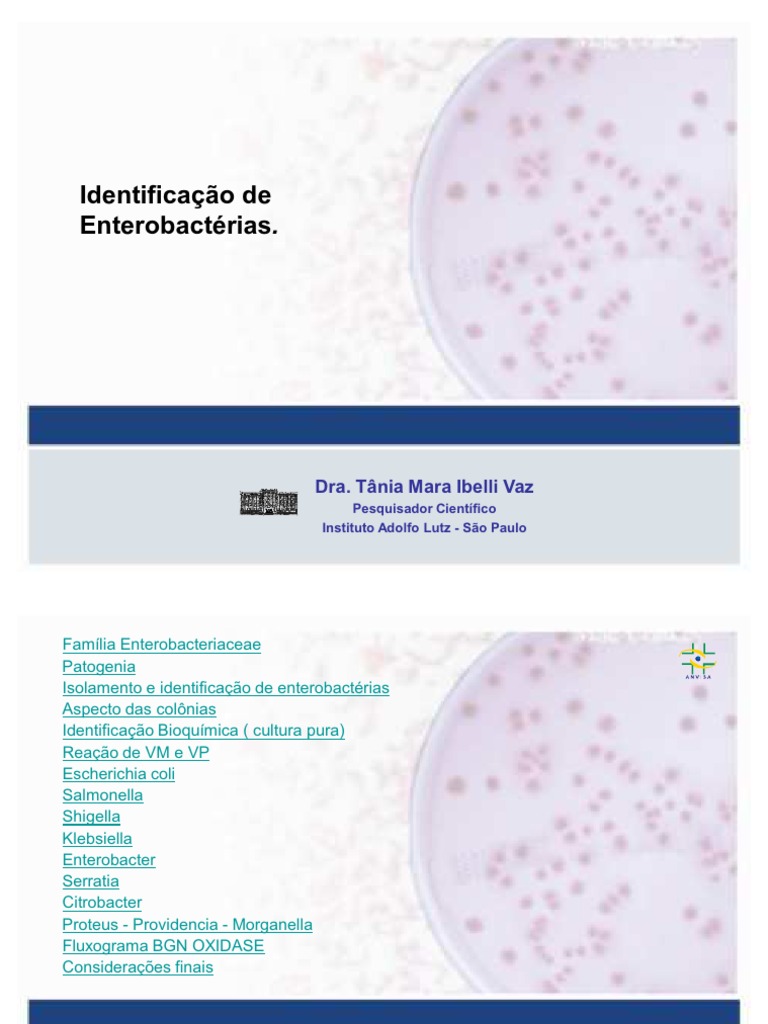 Identificação e caracterização de enterobactérias: um guia passo a ...