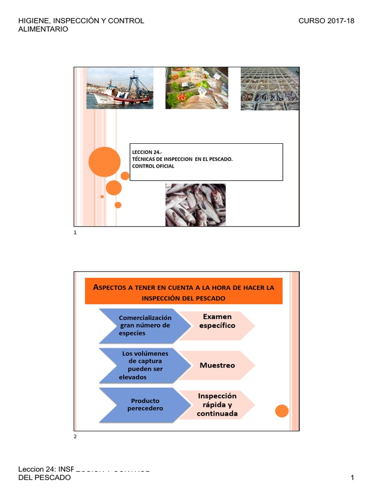 Lecc. 24. - Inspeccion y Control de Productos Pesqueros (19-20) | PDF | Alimentos | Carne