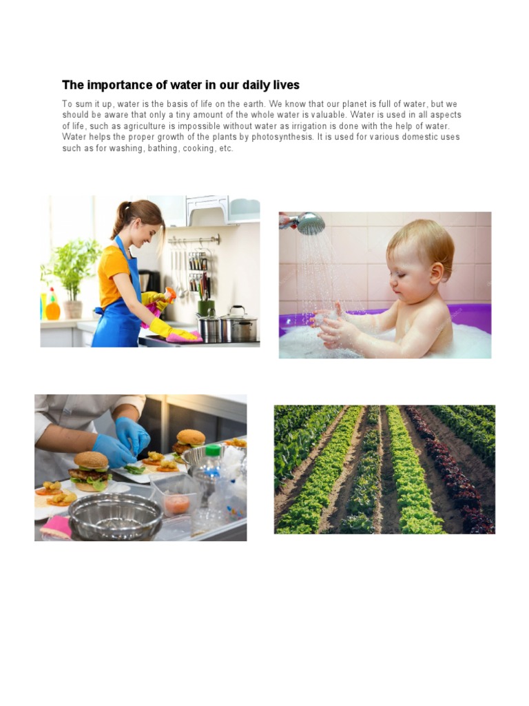 The Importance of Water in Our Daily Lives | PDF | Home & Garden | Wellness